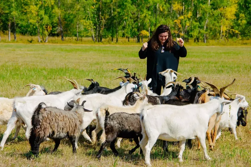 Can I Own A Goat In Wyoming? Vet-Backed Facts (Cold Weather)